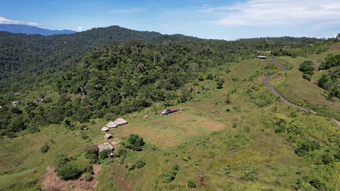 Nairi Awari: proteger, reforestar y conservar | Servindi - Servicios de ...